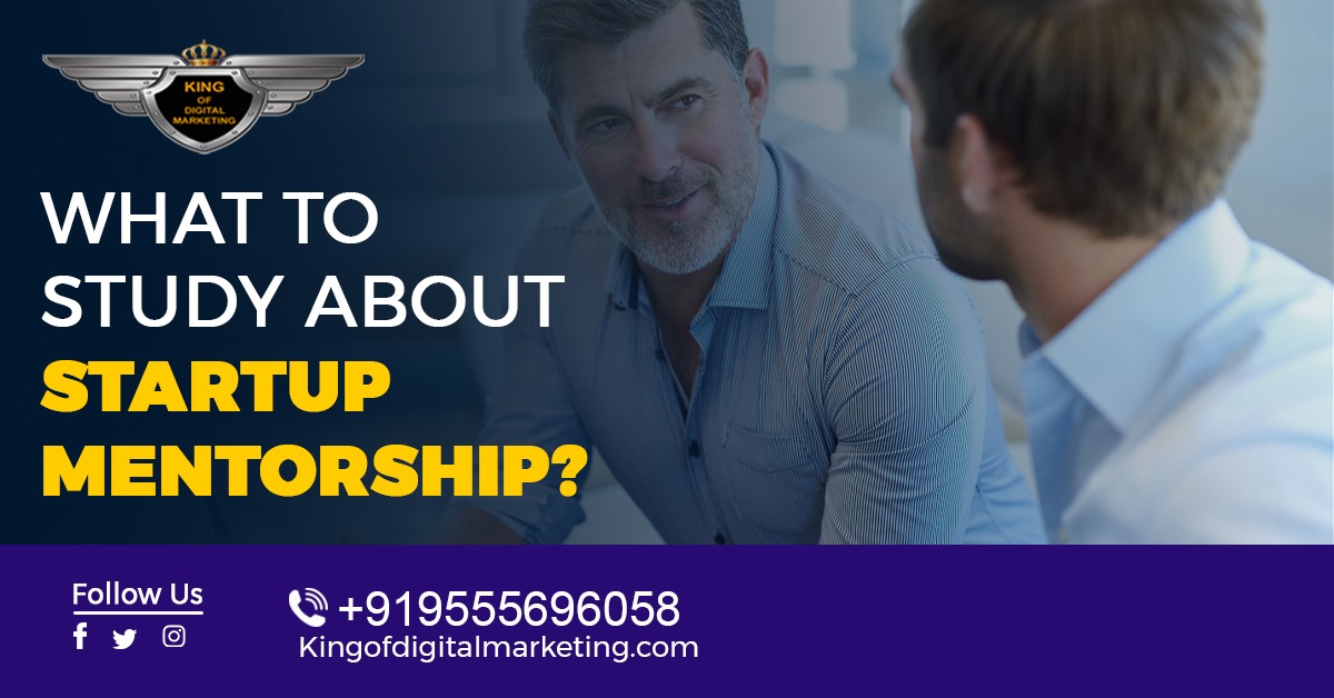 What to Study about Startup Mentorship?