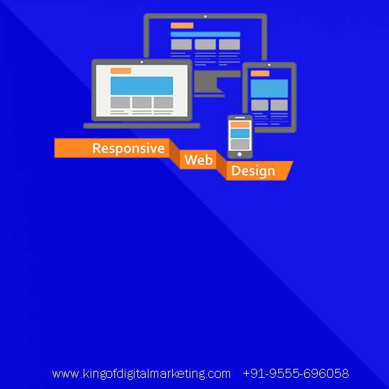 SEO Freelancer in Delhi | SEO Expert in India, SMO PPC Freelancer